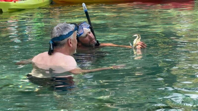 Rainbow Springs: Rainbow River Snorkel & Sightseeing Cruise - Who Will Enjoy This Tour?