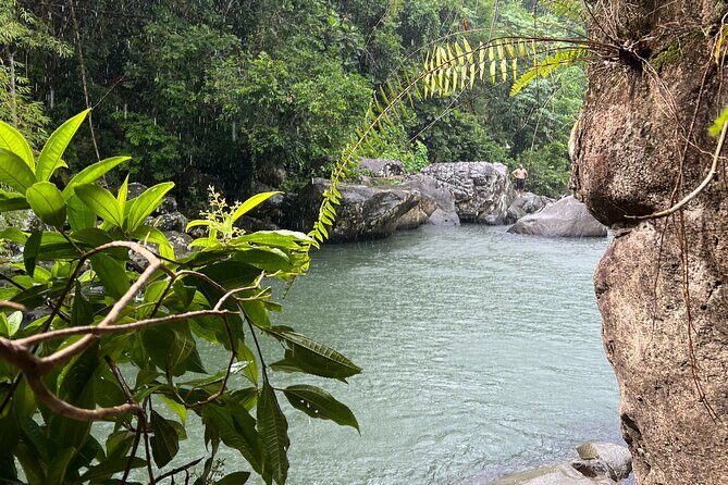 Rainforest Adventure All inclusive Food and Fotos - The Sum Up