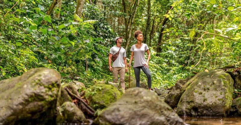 Rainforest Adventure - An Authentic Taste of Nevis’s Wilderness