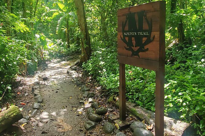 Rainforest and Junglequi Zipline Combo Tour - The Sum Up