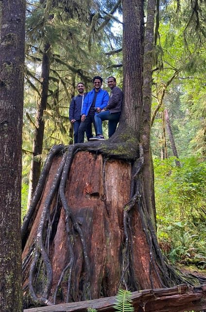 Rainforest and Olympic National Park Highlights - Discovering the Olympic Peninsula: A Closer Look at the Itinerary
