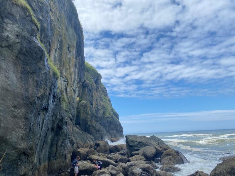 Rainforest and Olympic National Park Highlights - Frequently Asked Questions
