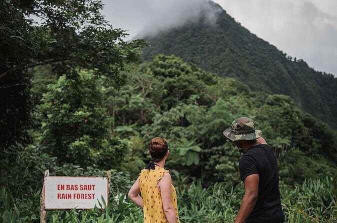 Rainforest Bathing Tour - FAQ