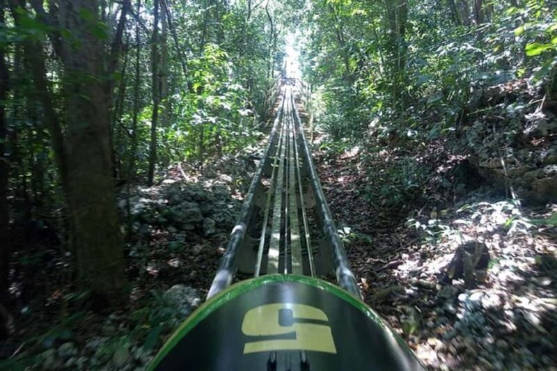 Rainforest Bobsled Mystic Mountain transportation - FAQ