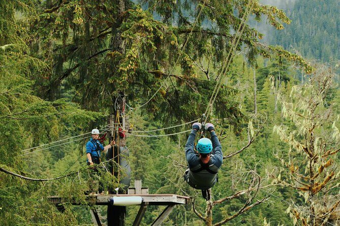 Rainforest Canopy & Zipline Adventure in Ketchikan, AK - A Deep Dive into the Rainforest Canopy & Zipline Tour