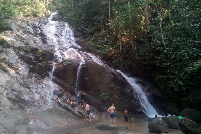 Rainforest-Cascading Waterfall, Batu Cave,Hotspring(Private Tour) - A Close Look at the Tour Experience