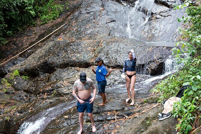 Rainforest Hike and Waterfall Safari - Practical Tips for Travelers