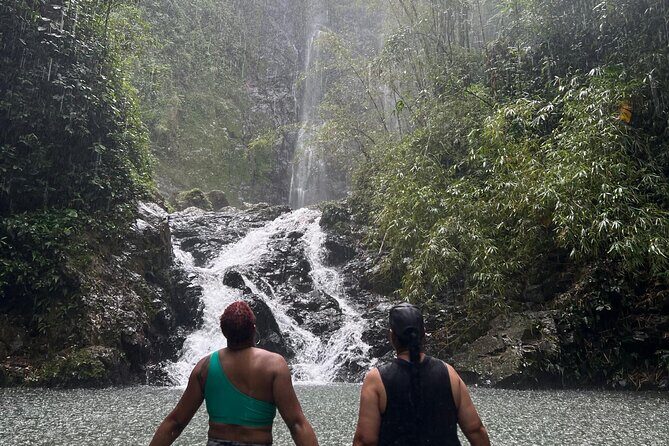 Rainforest Hike to Hidden Waterfall in Puerto Rico with Transport - Why This Tour Stands Out