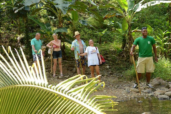 Rainforest Hike & Waterfall Safari St. Lucia From Castries - Who Will Love This Tour?