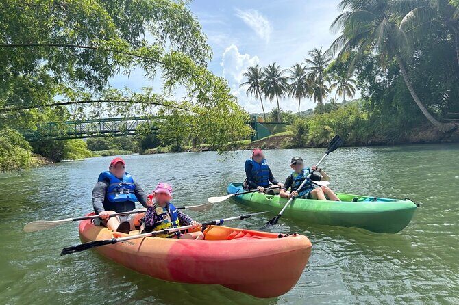 Rainforest Kayak Tour - What to Expect on the Rainforest Kayak Tour