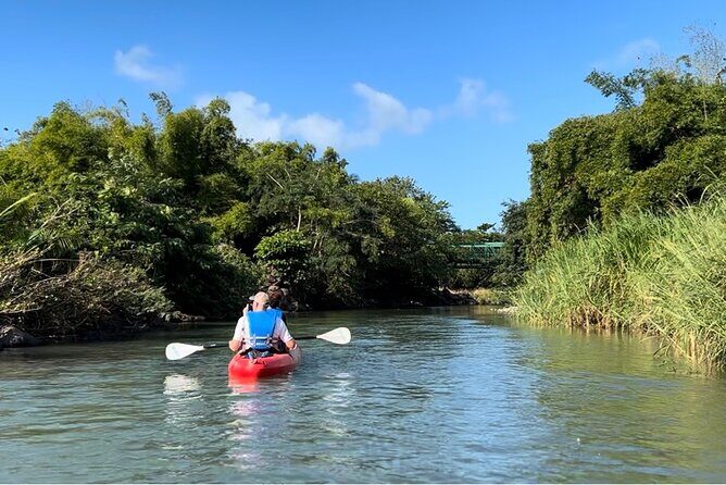 Rainforest Kayak Tour - The Sum Up: Who Will Love the Rainforest Kayak Tour?