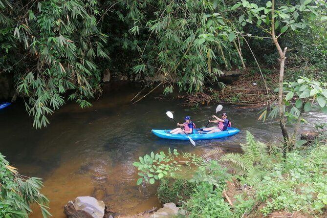 Rainforest Kayaking with Semenggoh Orangutan Center from Kuching - Introduction