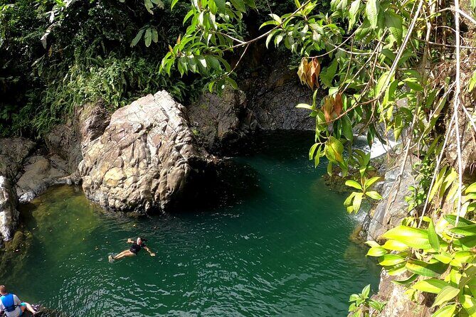 Rainforest Nature Walk & Luquillo Beach Combo - Exploring the Rainforest Nature Walk & Luquillo Beach Combo: An Honest Review