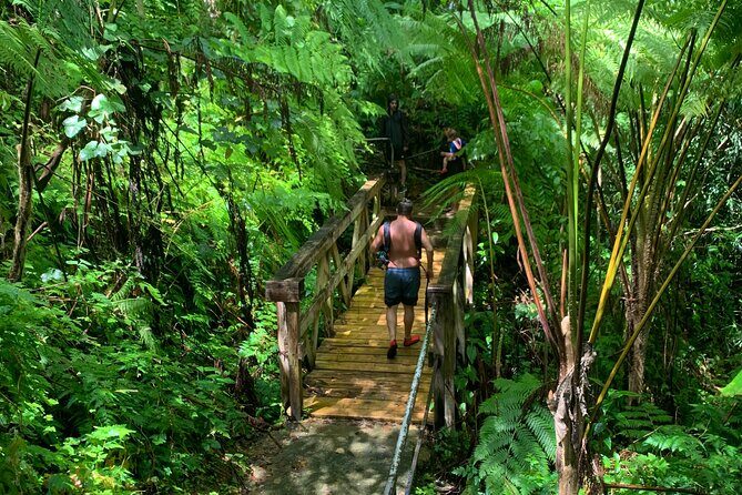 Rainforest Nature Walk & Luquillo Beach Combo - Final Thoughts: Who Will Really Enjoy This Tour?