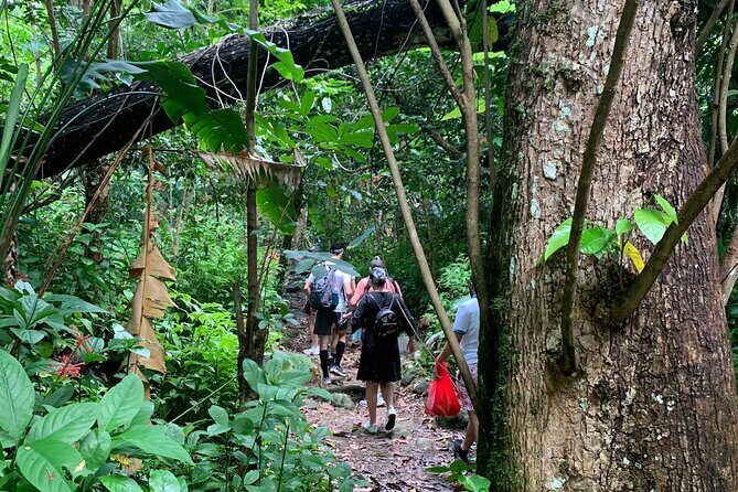 Rainforest Nature Walk & Luquillo Beach Combo - Frequently Asked Questions
