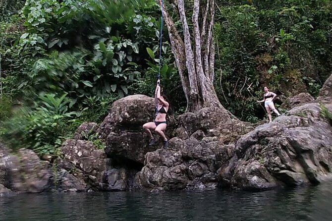 Rainforest River Hike and Waterfalls Adventure - Who Should Book This Tour?