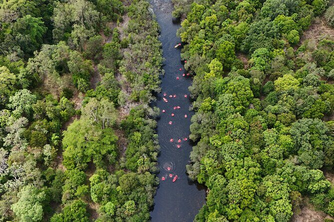 Rainforest River Tubing from Cairns - Rainforest River Tubing from Cairns: An Adventurer’s Day in the Tropics