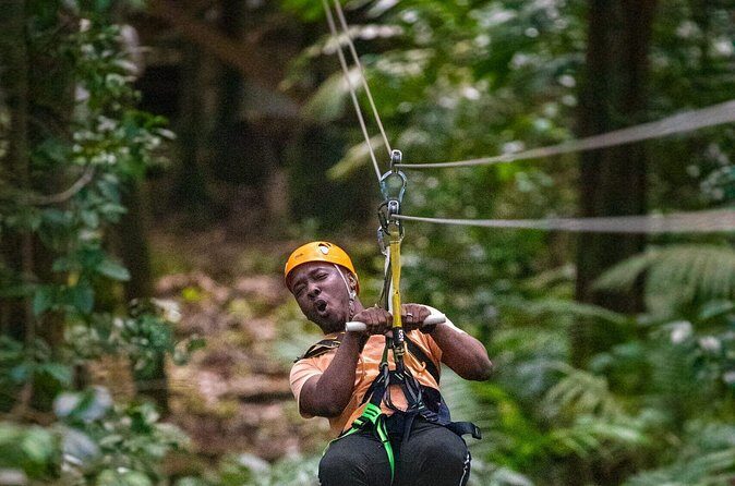 Rainforest Rush: St. Lucia Zip Line Adventure - Concluding Thoughts