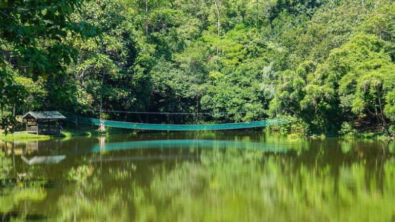 Rainforest Tour, Labuk Bay, Sun Bear & Sepilok | Sandakan - Summary: Who Should Consider This Tour?