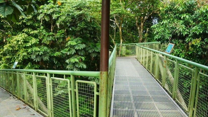 Rainforest Tour, Labuk Bay, Sun Bear & Sepilok | Sandakan - FAQ