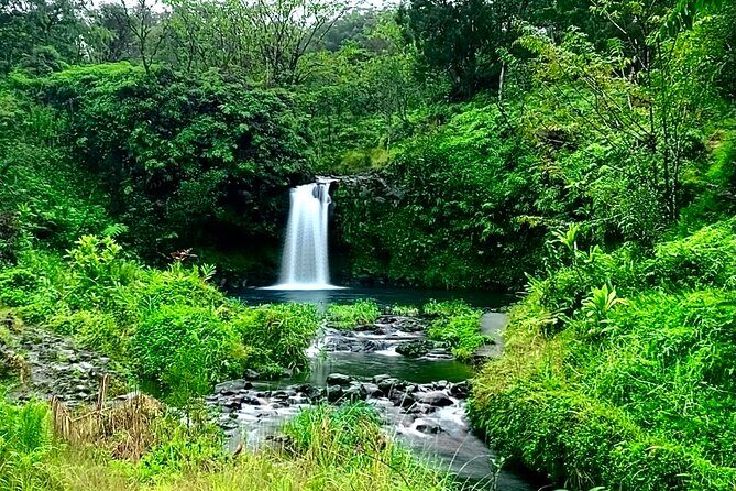 Rainforest Tour to Hana and Beyond - Transportation & Group Size