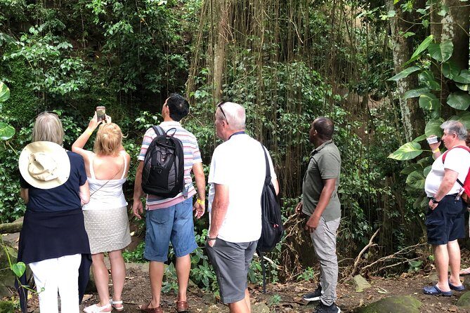 Rainforest Tours in St. Kitts - Key Points