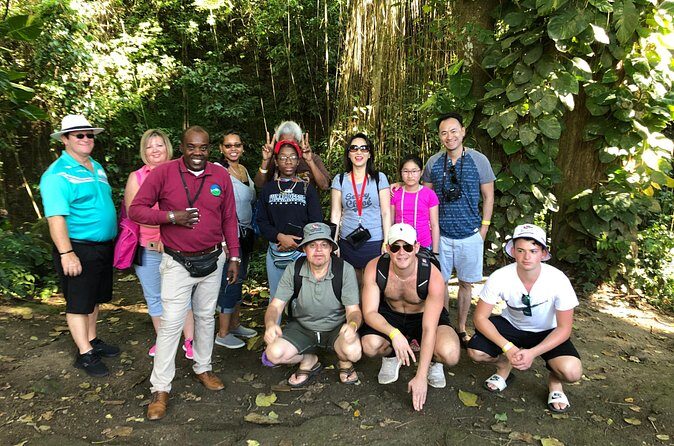 Rainforest Tours in St. Kitts - The Practical Aspects