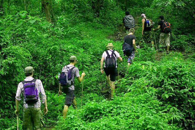 Rainforest Trekking in Kitulgala - Key Points