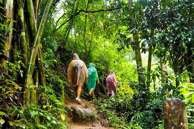 Rainforest Trekking in Kitulgala - A Closer Look at the Rainforest Trekking Experience