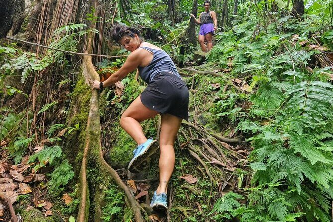 Rainforest Waterfall Hike with Rastafarian Nature Guide - What Makes This Tour Stand Out?