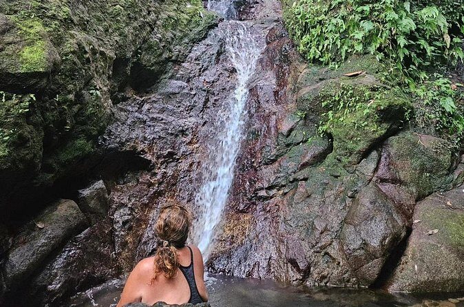 Rainforest Waterfall Hike with Rastafarian Nature Guide - Authenticity and Local Culture