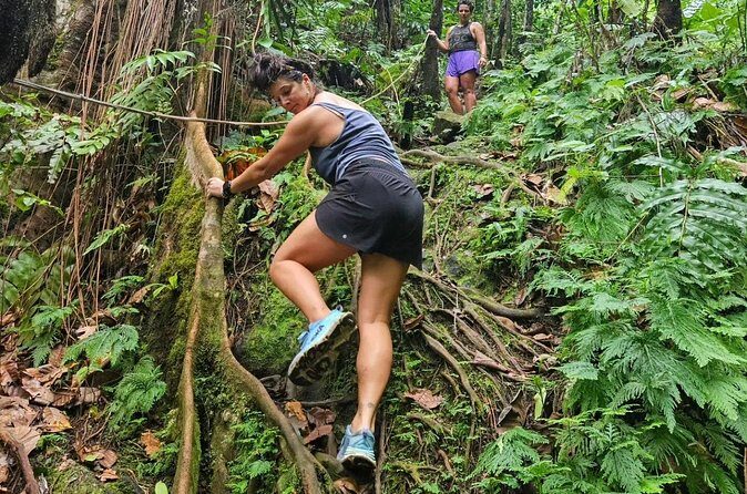 Rainforest Waterfall Hike with Rastafarian Nature Guide - Who Will Love This Tour?