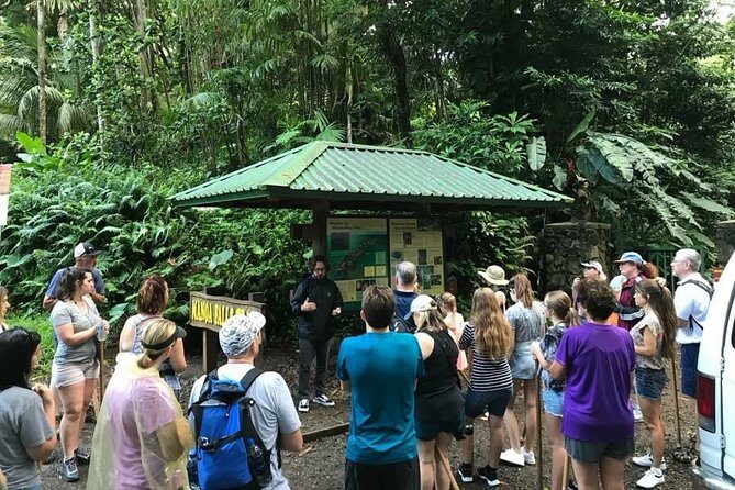 Rainforest Waterfall Trail and Shuttle Service - Key Points
