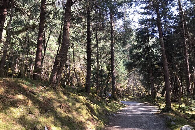 Rainforest & Waterfalls Trek - The Itinerary: What to Expect on the Rainforest & Waterfalls Trek
