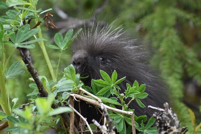 Rainforest & Waterfalls Trek - What Makes This Tour Stand Out
