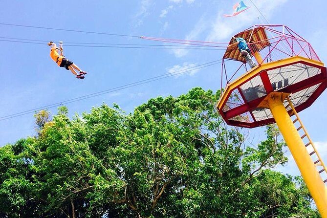 Rainforest Zipline in Foothills of the National Rainforest - The Itinerary: What to Expect
