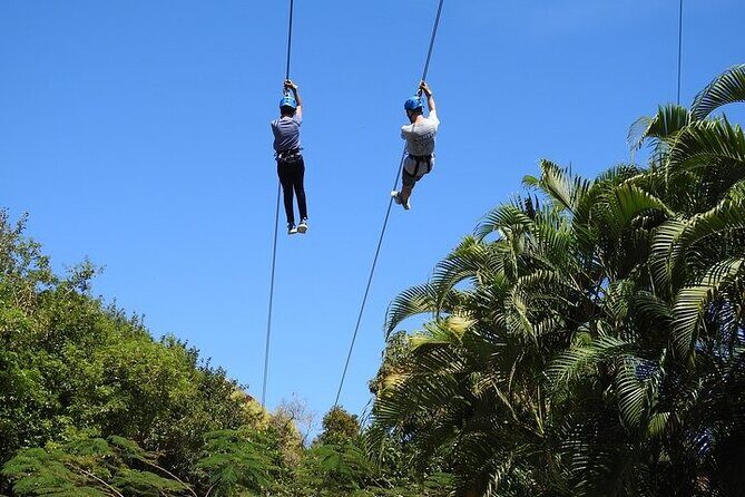Rainforest Zipline in Foothills of the National Rainforest - The Guides and Safety