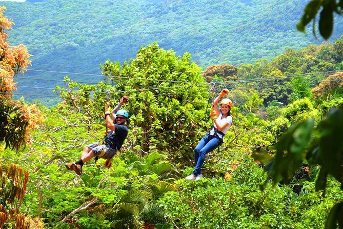 Rainforest Zipline in Foothills of the National Rainforest - The Views: A Highlight for Many