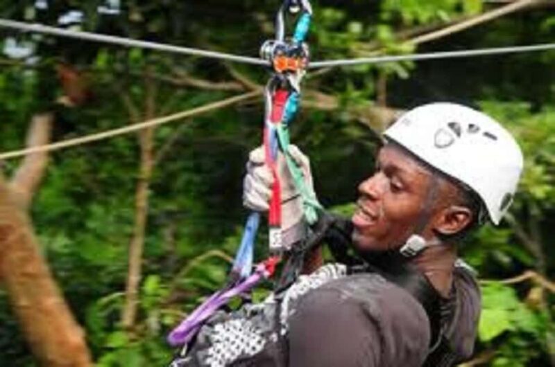 Rainforest Zipline Mystic Mountain trip - An In-Depth Look at the Mystic Mountain Ziplining Experience