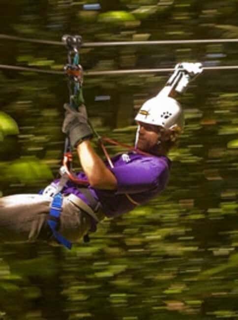 Rainforest Zipline Mystic Mountain trip - Who Will Love This Tour?