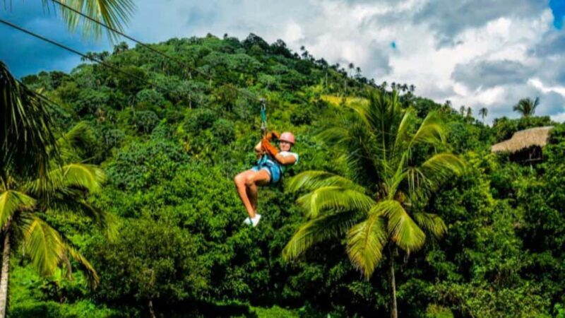 Rainforest Ziplining Adventure - The Ziplines: Flying Through the Canopy