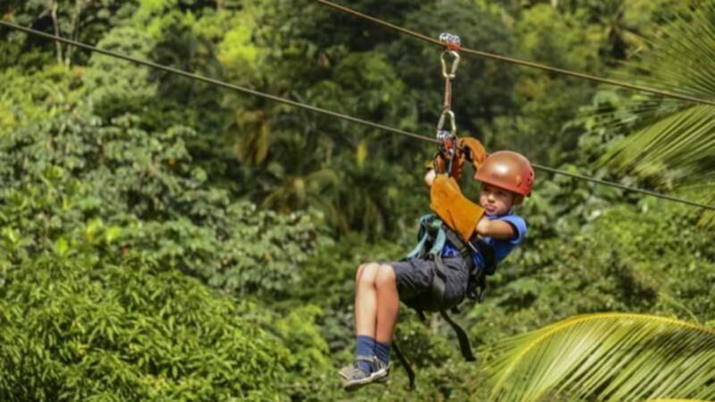 Rainforest Ziplining Adventure - The Natural Environment