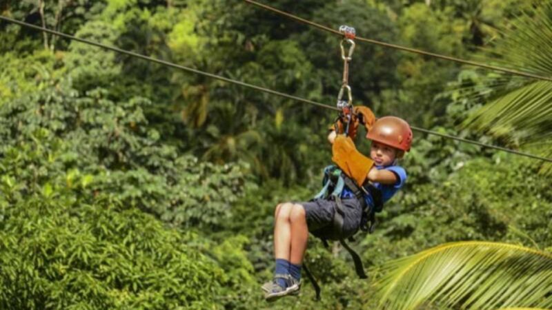 Rainforest Ziplining Adventure - Review Insights and Real Travelers’ Opinions