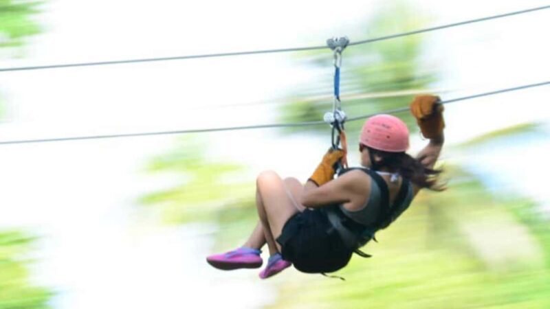 Rainforest Ziplining Adventure - Final Thoughts