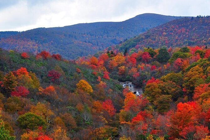 Rainforests and Waterfalls of Western NC - FAQs