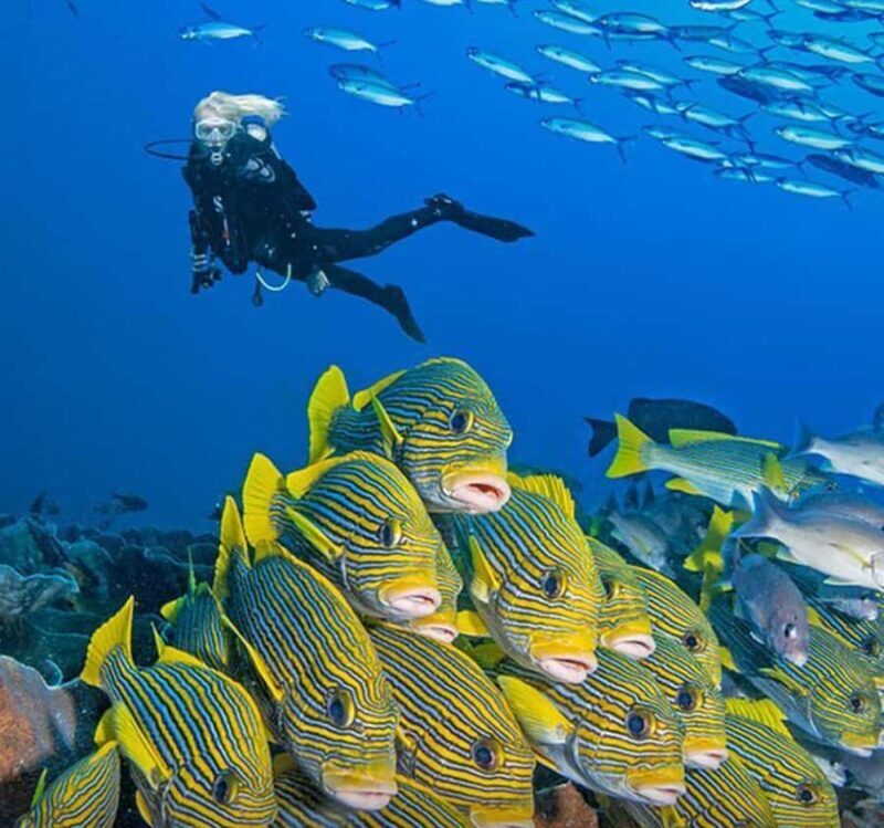 Raja Ampat Tour 14 Days  Explore Papuas Ocean Paradise - Who Is This Tour Best For?