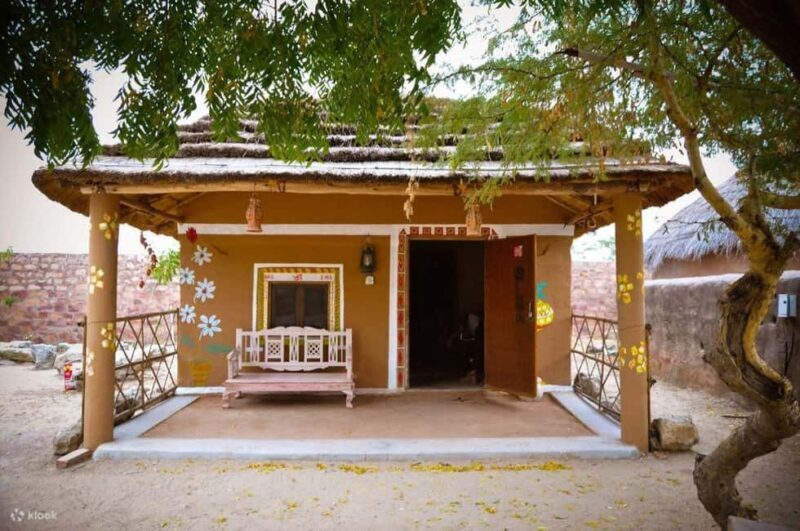 Rajasthan: Exclusive 03 Days Udaipur and Jodhpur Guided Tour - What Reviewers Say