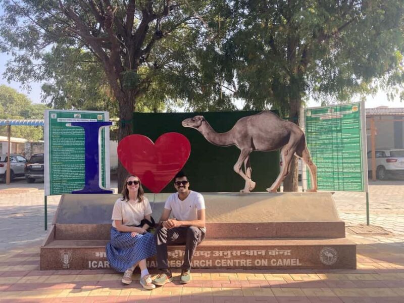 Rajasthan Tour 7 Nights 8 Days - Jodhpur: The Blue City with a Fort