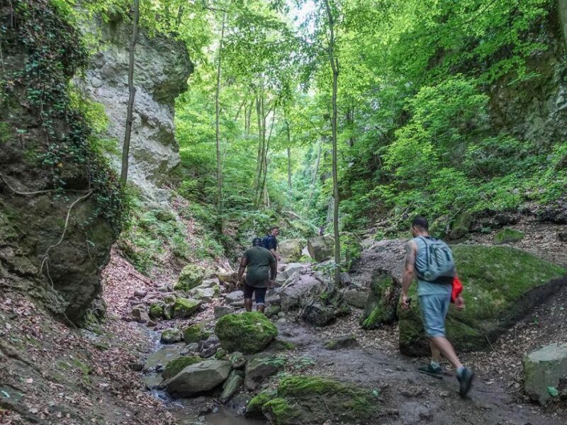 Ram Gorge Hiking Adventure - An In-Depth Look at the Ram Gorge Hiking Adventure