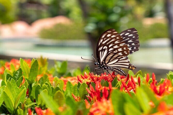 Ramayana Water Park Admission Ticket - Final Thoughts on the Ramayana Water Park Ticket